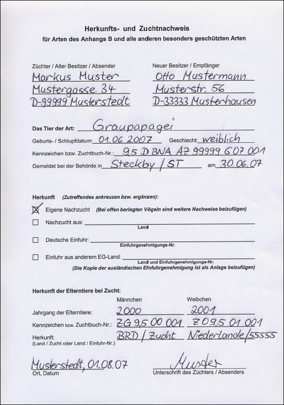 Anmeldung Papageien beim Amt